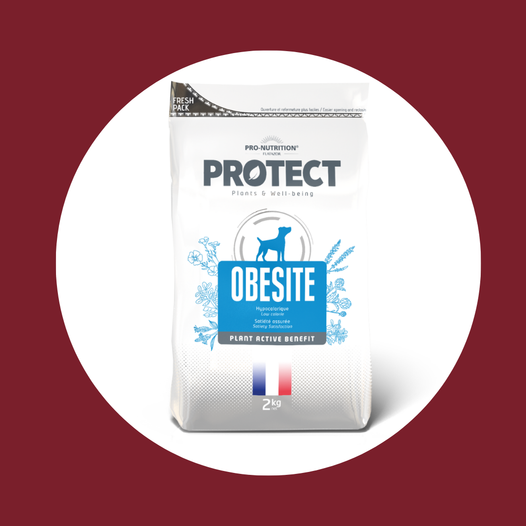 Croquettes vétérinaires pour chien PROTECT | OBESITE (2 tailles ...